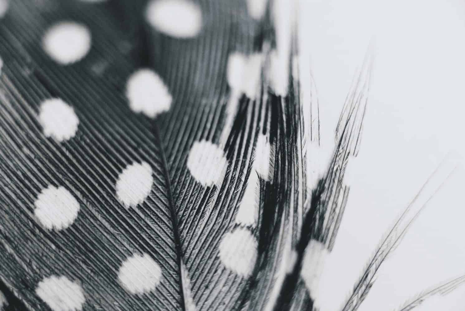 Structured Notes for Expat Investors